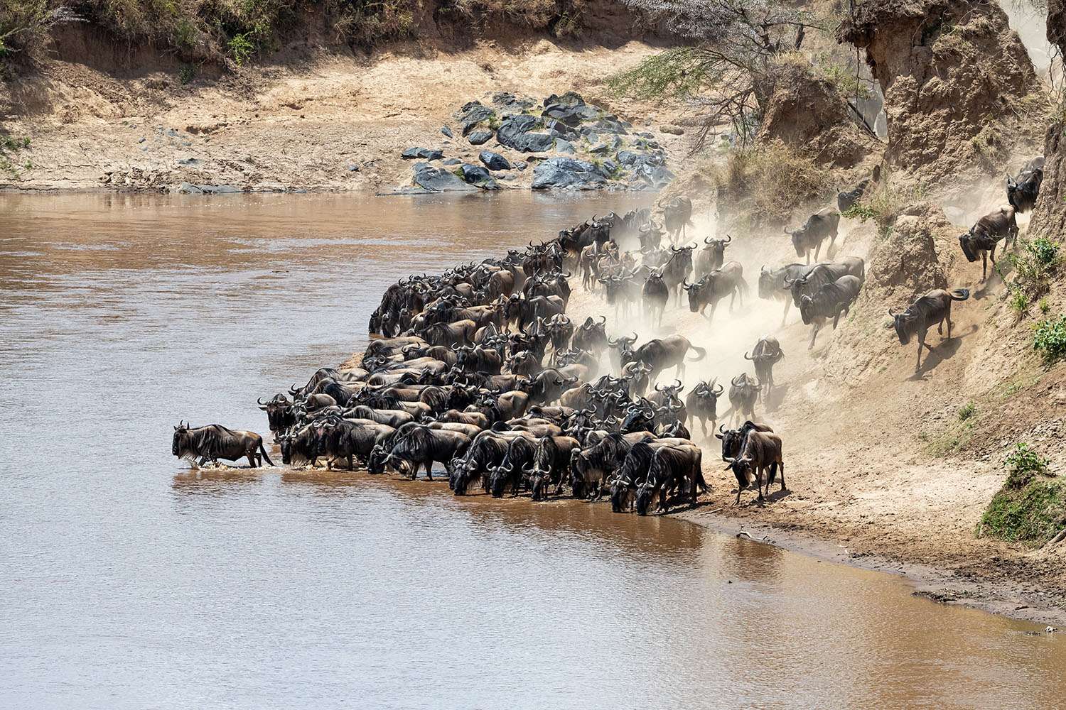 Wildebeest Migration River Crossing Luxury Safari - 8 Days