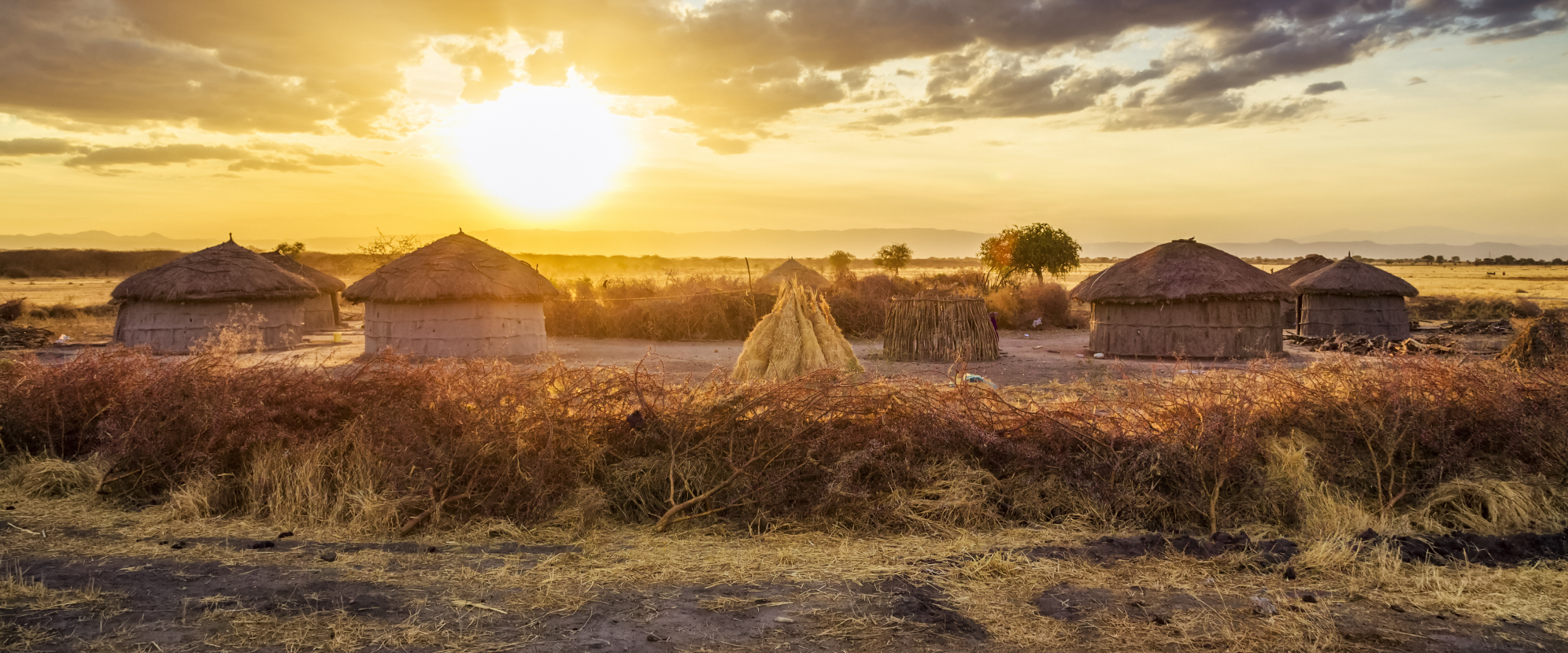 Mto wa Mbu – Guide, Map, Faq and more