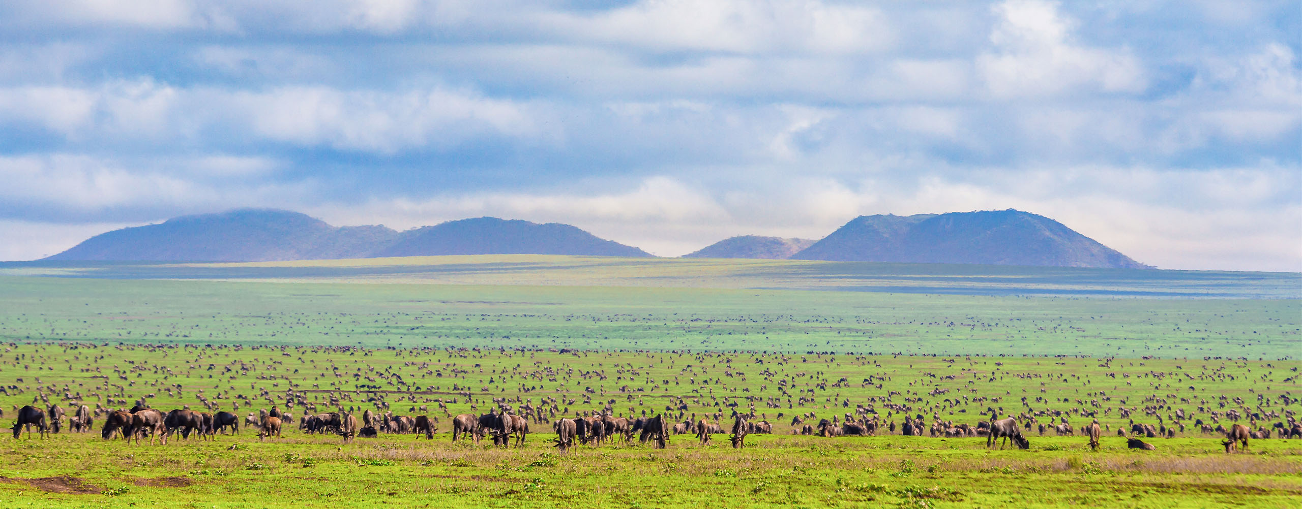 Parc national du Serengeti - Guide, carte, FAQ et plus