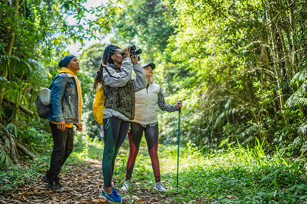 Mahale Mountains National Park Travel Guide 2025/2026: The C