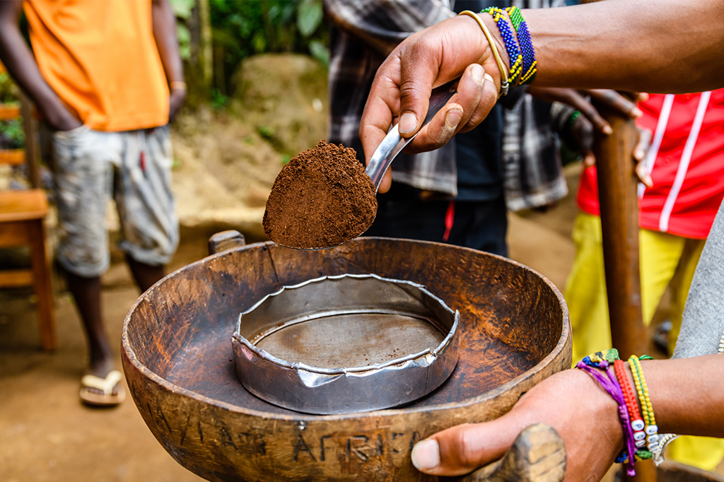 Moshi Tours and Activities: The Best Ways to See and Do Ever