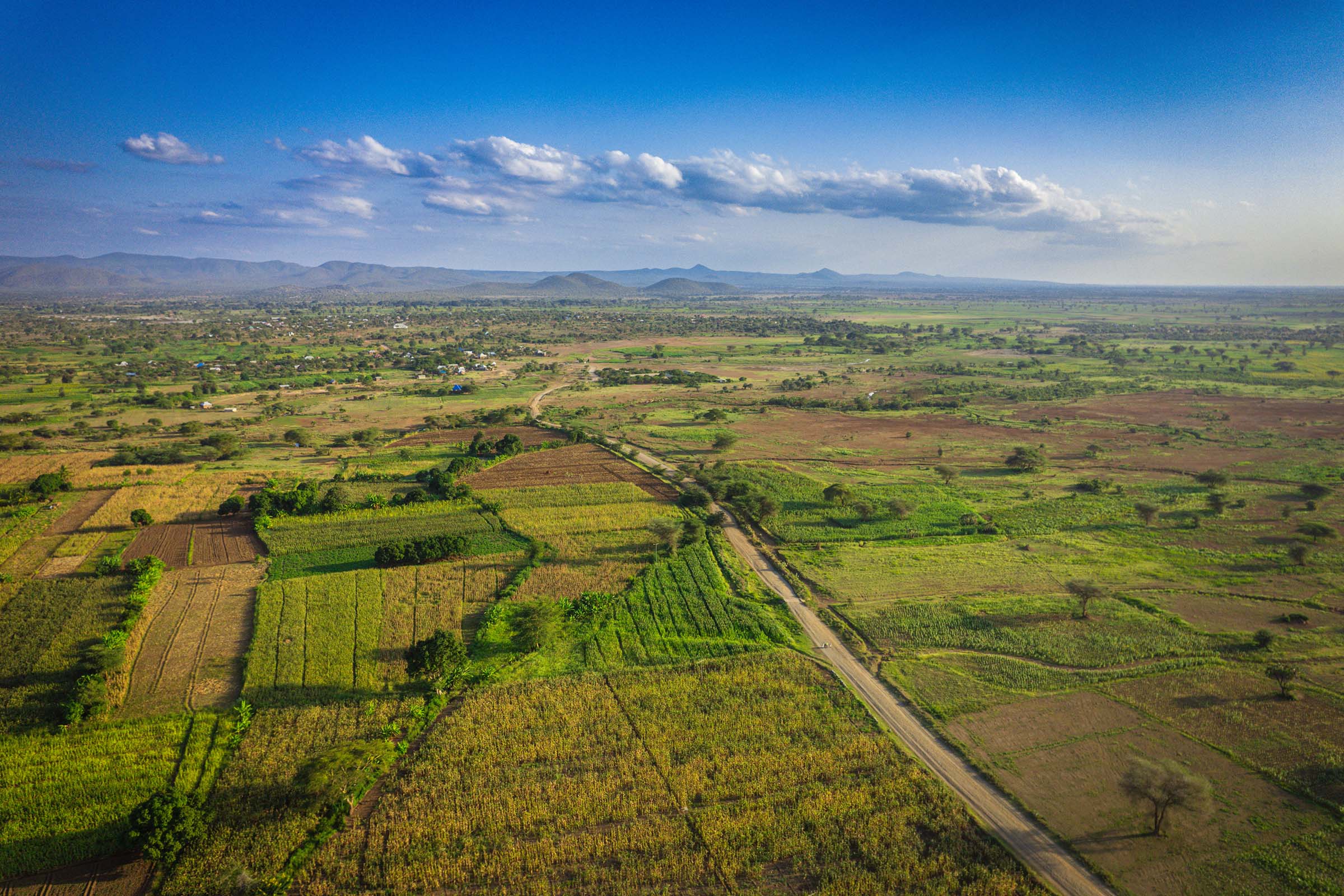 Best Moshi Tours and Activities in 2025/2026 - Easy Travel