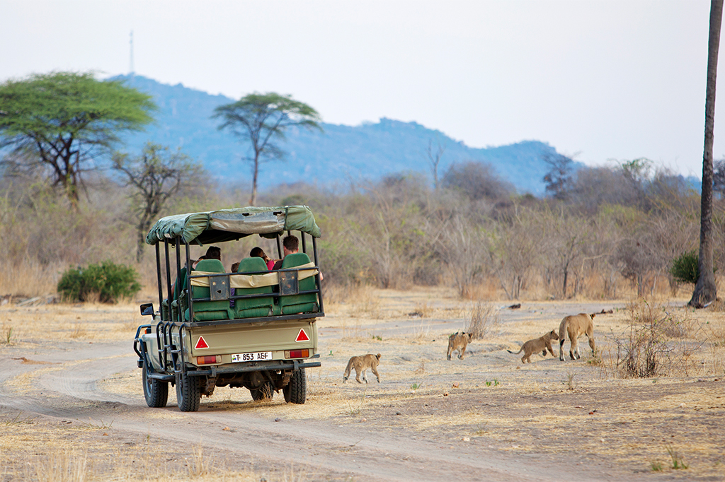 5 razones para visitar el Parque Nacional Ruaha en 2025 - Easy Travel