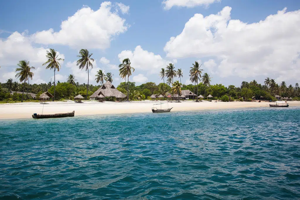 Where to Stay in Mafia Island in Year 2025/2026