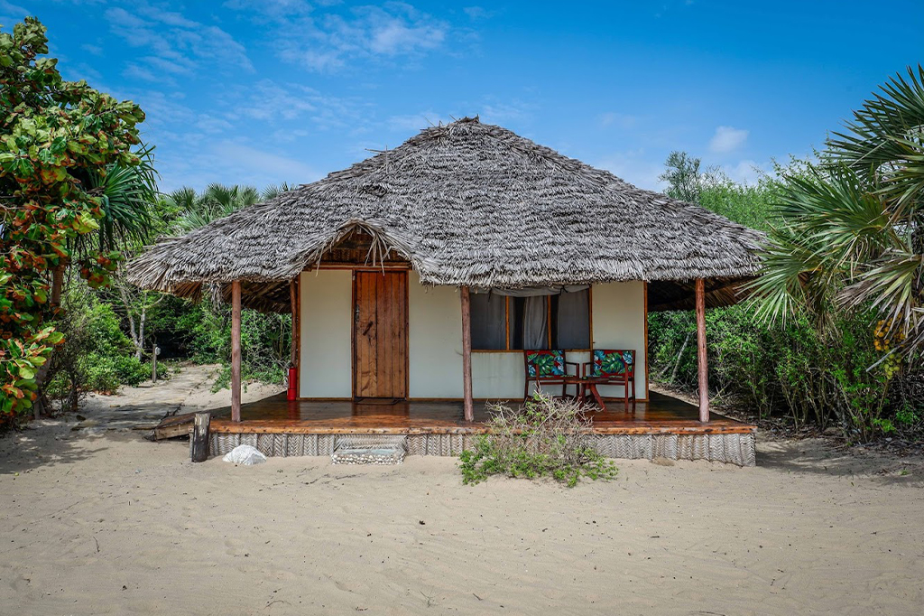 Saadani National Park Travel Guide 2025/2026: The Complete G