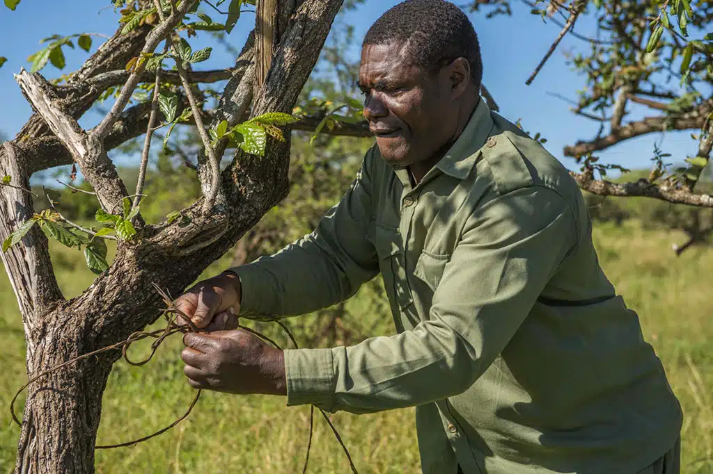 Katavi National Park Travel Guide 2025/2026: The Complete Gu