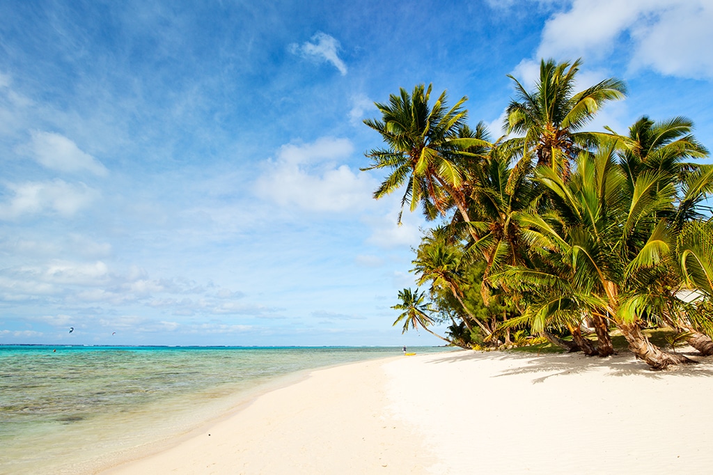 Bawe Island vs. Prison Island: Which is the Perfect Island Getaway for ...