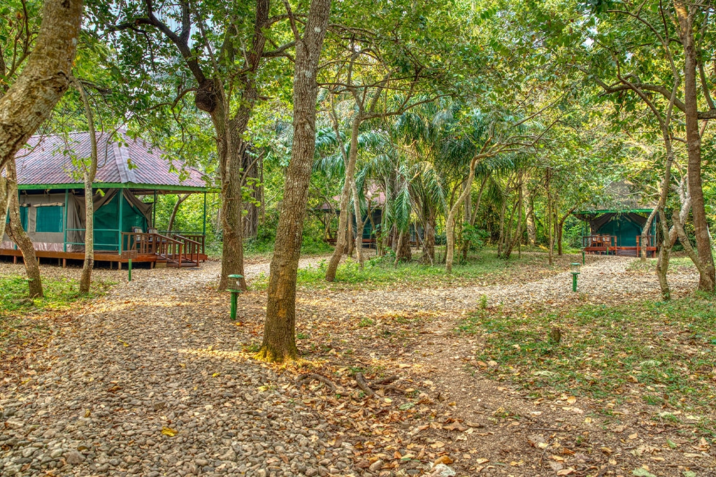 Where to Stay in Gombe Stream National Park in 2025/2026: Yo