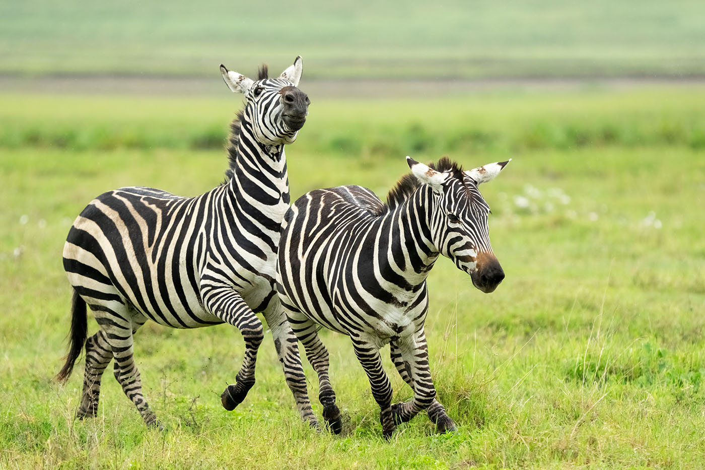 Tansania Experience - Einfaches Reisen