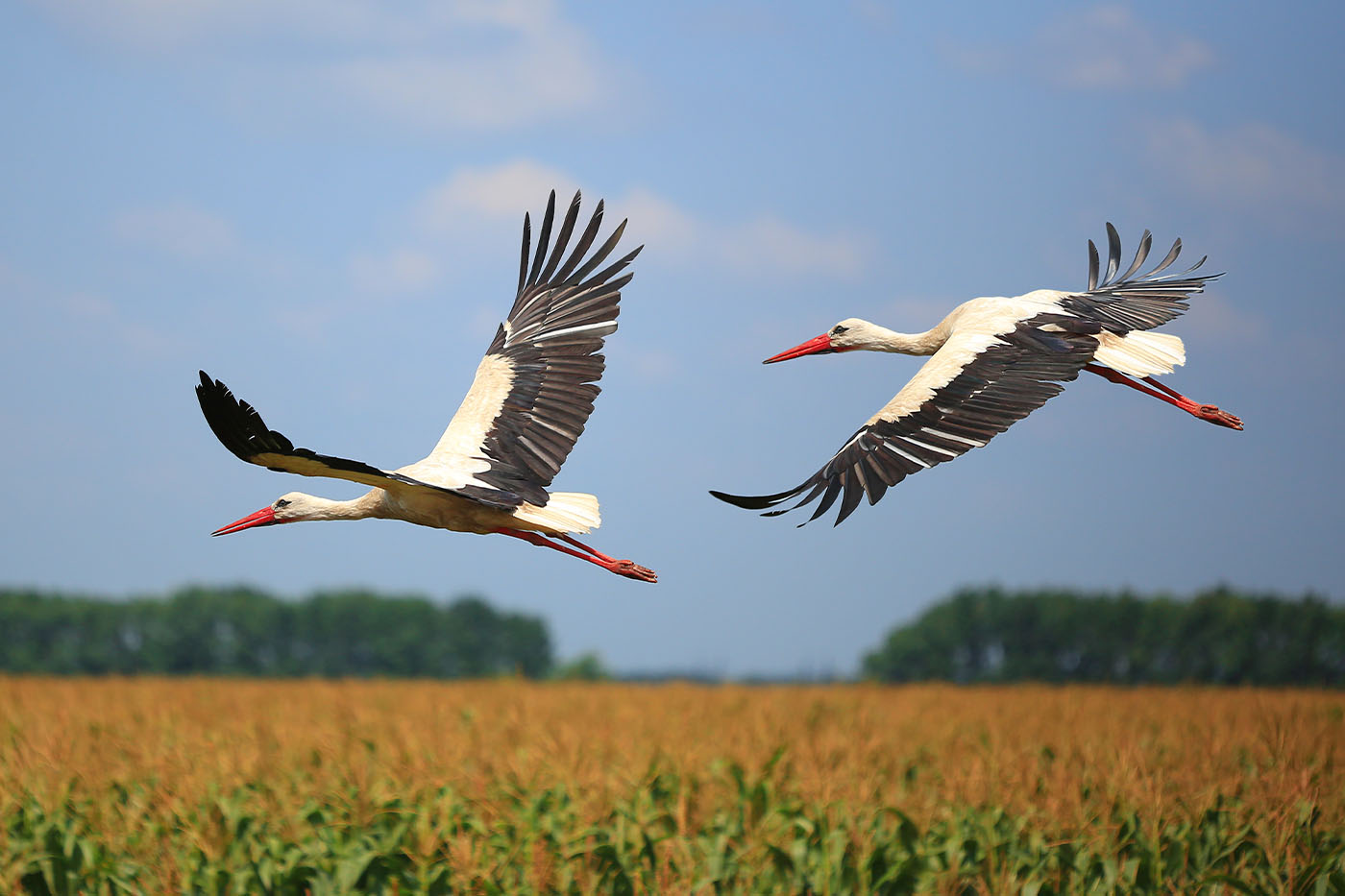 Tansania Camping Tour - Easy Travel