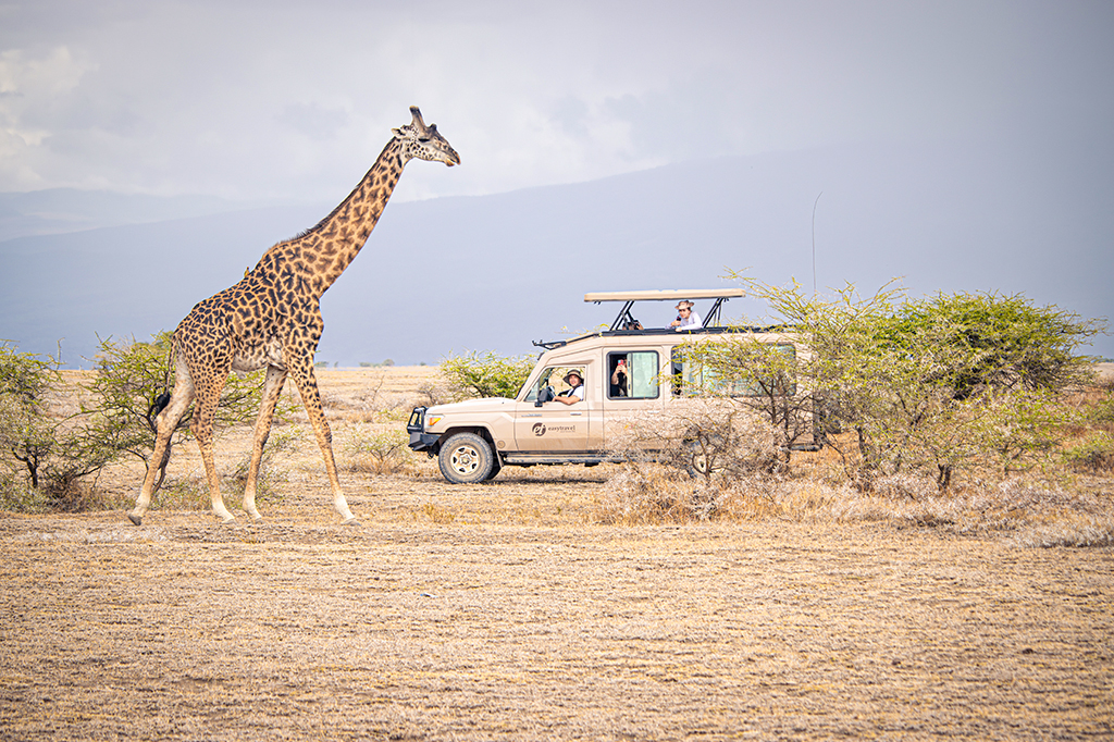 Tanzania Safari Trip Notes - What You Need To Know